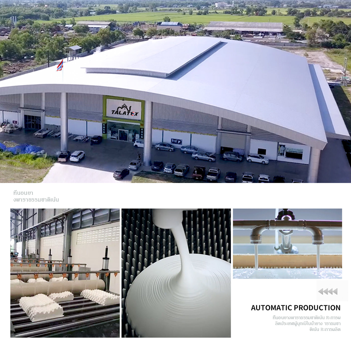 Premium Latex Pillow | Talalay Process