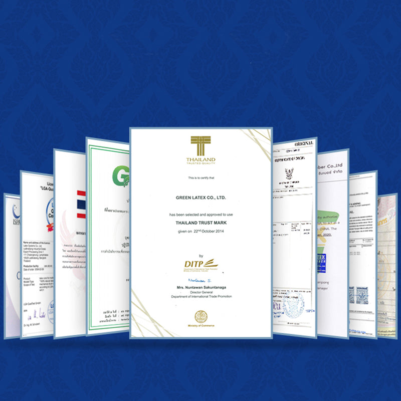 Premium Latex Pillow | Talalay Process